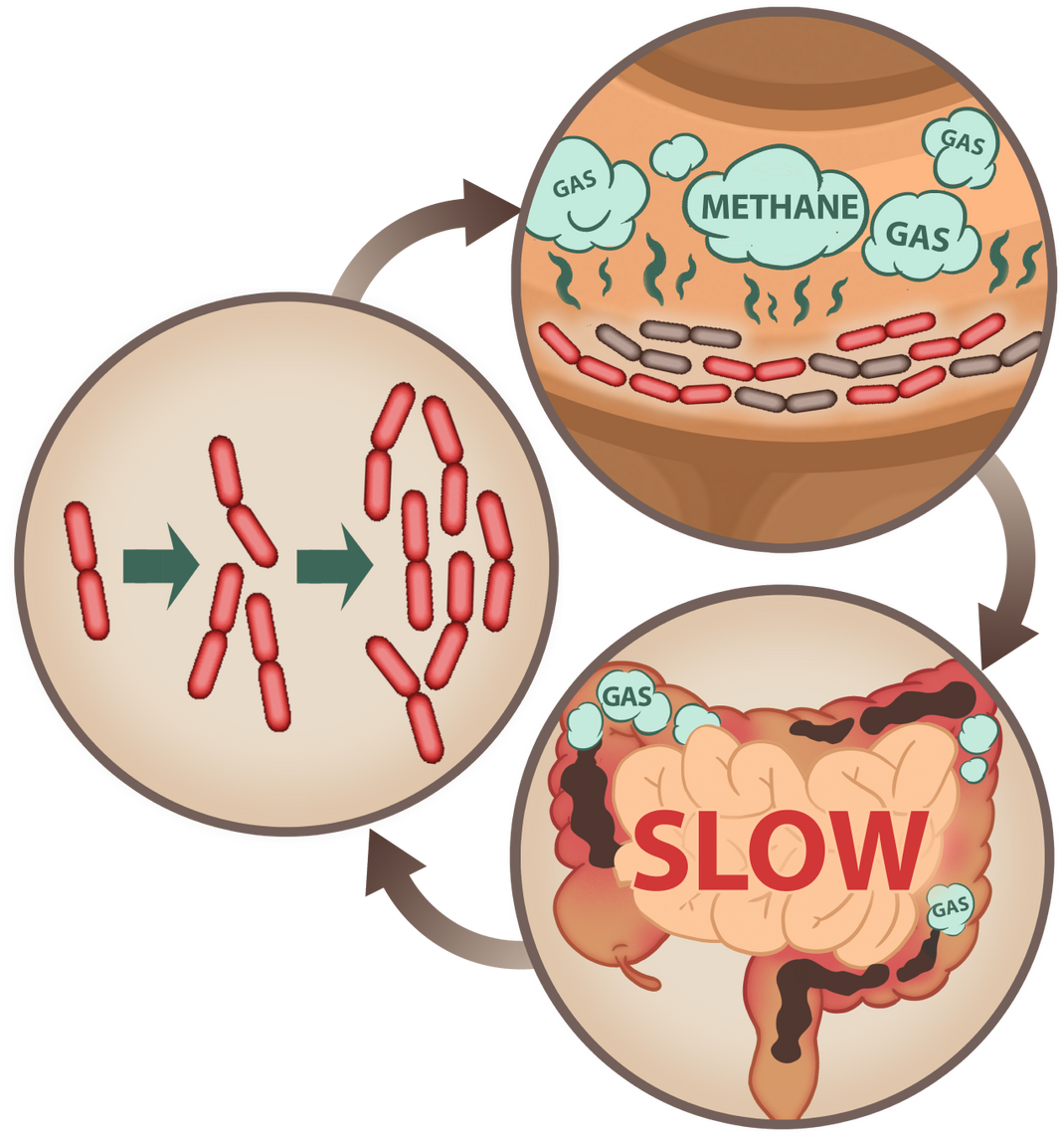 Get Out Damn Poop! – Emma Relief